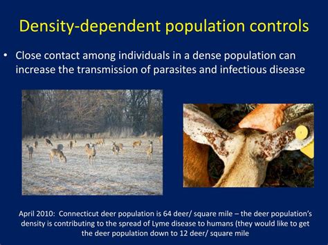 Ppt Population Dynamics Powerpoint Presentation Free Download Id