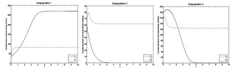 Three Randomly Chosen Stochastic Realizations And The Solution To The