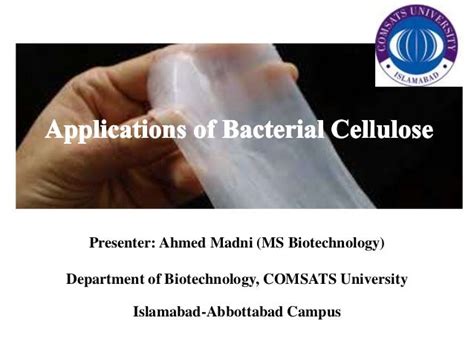 Applications Of Bacterial Cellulose