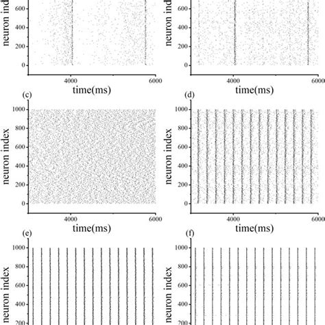 the raster maps of neuron discharge under the effect of stdp right