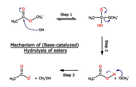 Hydrolysis Of Esters Mechanism And Conditions PSIBERG