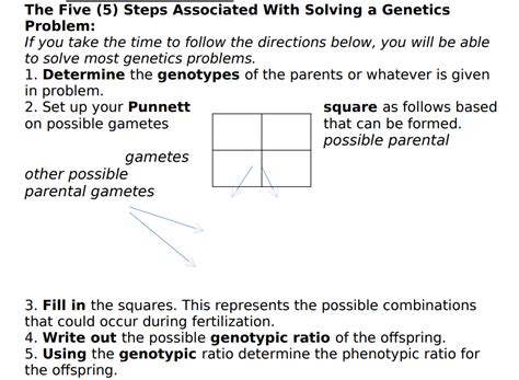 Solved The Five 5 Steps Associated With Solving A Genetics