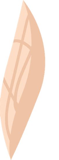 Digital Collage Grass 素材 Canva可画