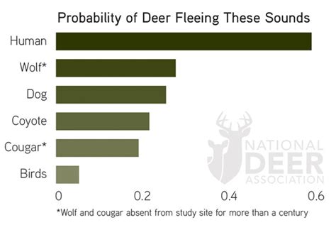 Deer Predators Chart National Deer Association