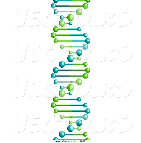 Dna Strand Vector At Vectorified Com Collection Of Dna Strand Vector Free For Personal Use