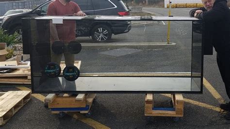 Aquarium Overflow Box Placement Tips Aqua Creations