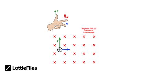 Free Charge Moving In Magnetic Field Need To Know Speed Explanation Animation By Joana