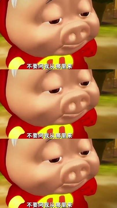 还有谁没听gg爆唱歌？好听好听 猪猪侠 动画 嘿漫吧 Youtube