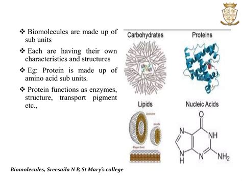 Biotechnologybiomolecules Pptx