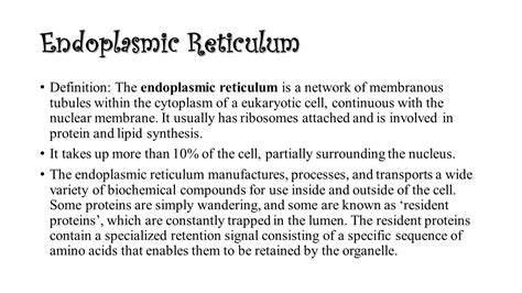 Endoplasmic Reticulum Definition