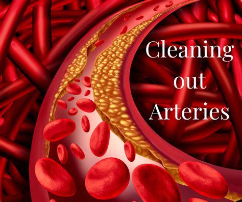 Free Resources Life Training Institute