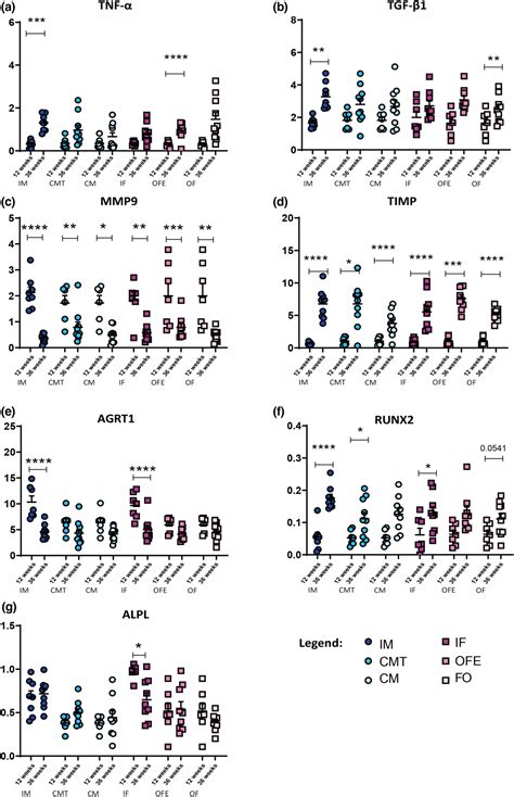 Impact Of Sex And Sex Hormones On Pathophysiology And Progression Of