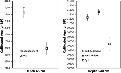 comparative calibrated ams radiocarbon ages measured on bulk sediment