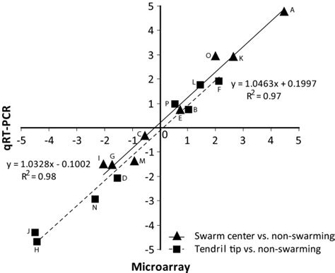 Microarray Results Validation By Qrt Pcr Mean Log Ratios Of The Download Scientific Diagram