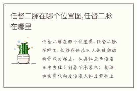 任督二脉在哪个位置图 任督二脉在哪里 兔宝宝游戏网