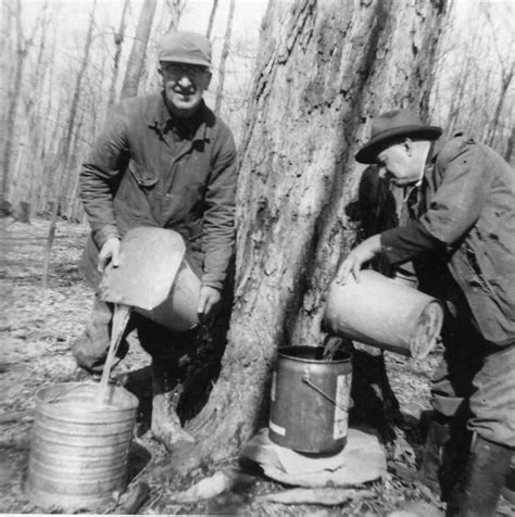 Daniel Korns Jr Farm Photos Somerset County Pa
