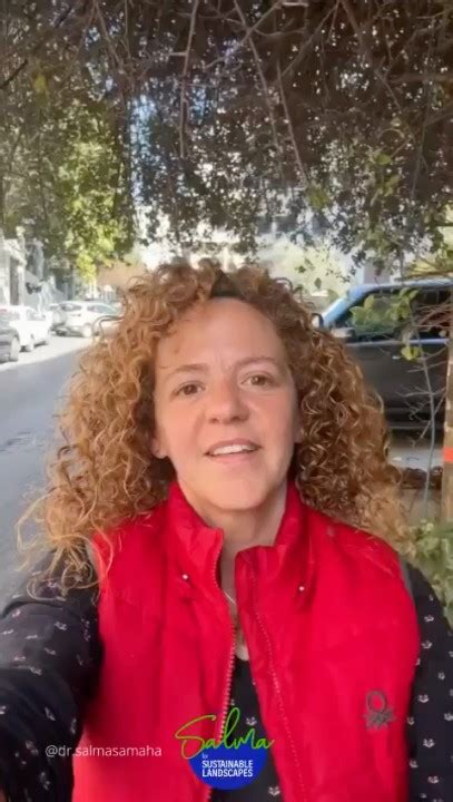 [video] Dr Salma Samaha On Linkedin Salmasamaha Publicspaces