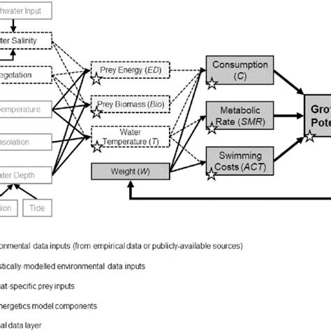 Conceptual Diagram Showing The Hierarchical Structure Of A Spatially Download Scientific