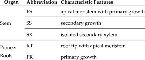 Nomenclature Describing The Sampling Of Populus Trichocarpa Stems