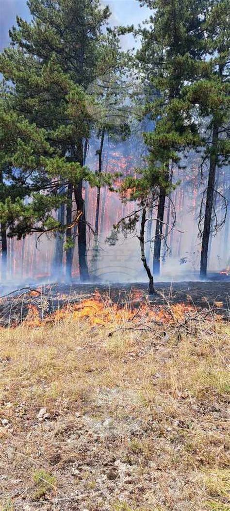 Пожар е обхванал горски фонд в района на Панагюрище Утро
