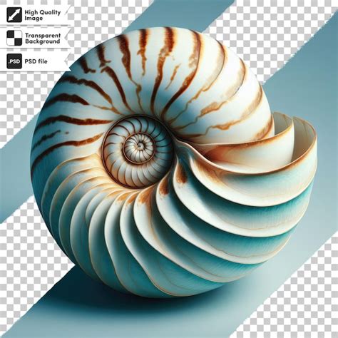 Fibonacci Shell Psd 1000 High Quality Free Psd Templates For Download