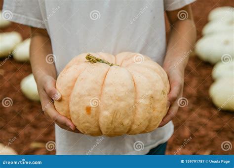 Girl Holding Medium Sized Bumpy Pumpkin Stock Image Image Of Hold Choose 159791787
