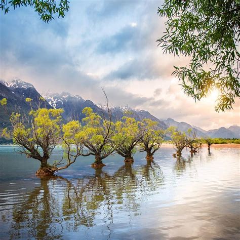 Tom Archer ФотоКто