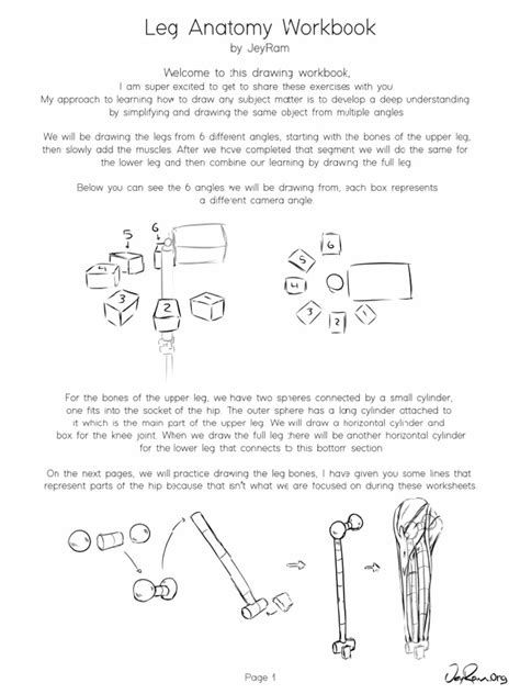 Leg Anatomy Workbook By Jeyram Pdf Pdf