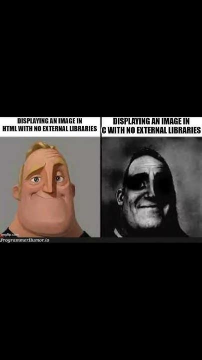 Using C Without External Libraries Programmerhumor Shorts Short Youtube
