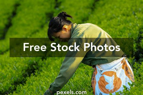 Sexywomenbikini Photos Download The Best Free Sexywomenbikini