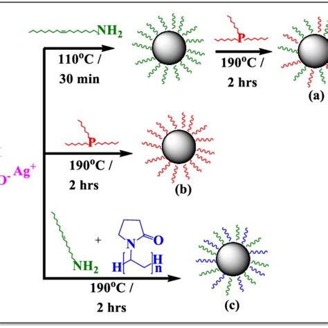 Schematic Representation Of Preparation And Surface Functionalization Download Scientific