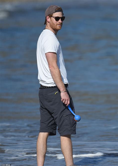 Ok პრინცი ჰარი ოთხფეხა მეგობართან ერთად სანაპიროზე ისვენებს Ok Magazine