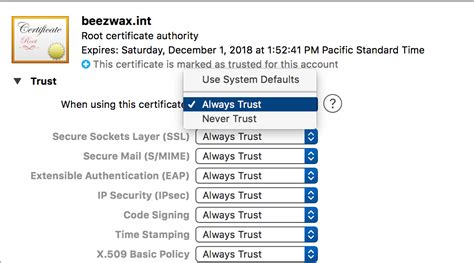 Creating Your Own Ssl Certificates For Filemaker Beezwax Blog
