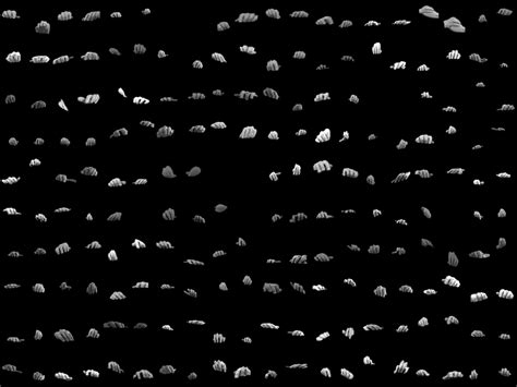 Typing Classification Dataset Visualization Left To Right Only
