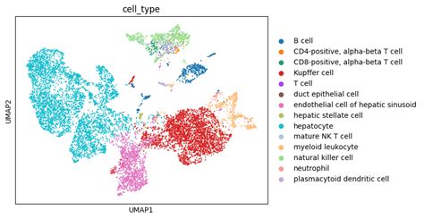 Integrating Multi Dataset Slices Of Data — Cellxgene Census Documentation
