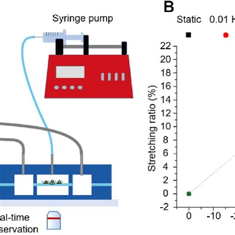 A Microfluidic Stretching System B The Relationship Between Download Scientific Diagram