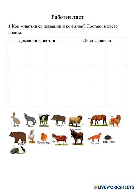 Диви и домашни животни Activity Live Worksheets