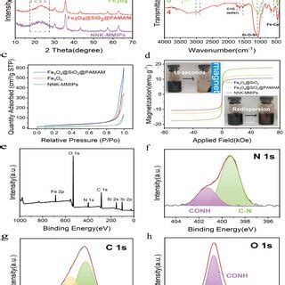 SEM Images Of Fe O SiO A Fe O SiO PAMAM B And Download Scientific Diagram