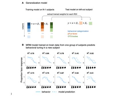 A Cross Validated Multi Roi Model That Is Trained On Brain Data From