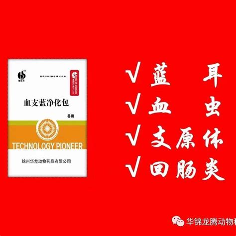 猪场感染蓝耳病的征兆！ 先兆 杆菌 母猪