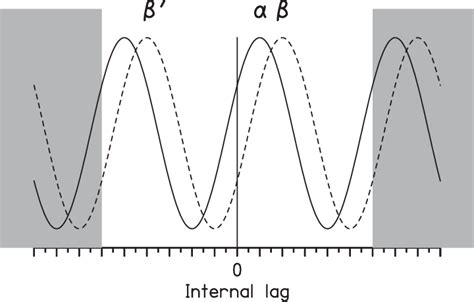 model cross correlation function indicating the firing rate of