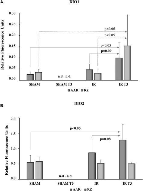 Expression Levels Of Dio1 A And Dio2 B Genes In Area At Risk Aar
