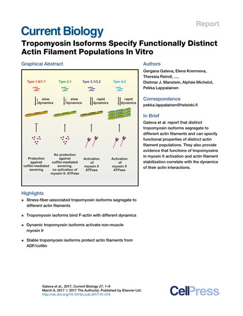 Pdf Tropomyosin Isoforms Specify Functionally Distinct Actin Filament