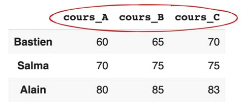 Reshape Ou Remodeler Les Données Avec Pandas