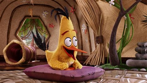 Energetic Chuck From The Angry Birds Movie Wallpaper Wallpapersok