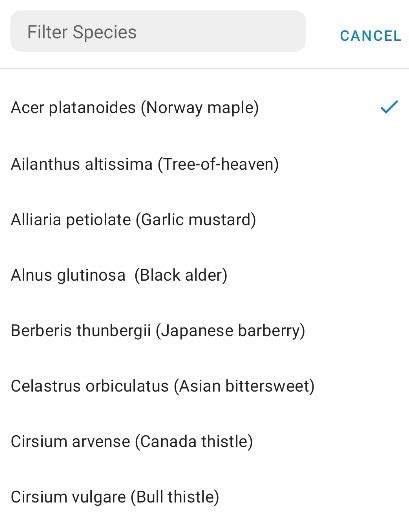 Agol Field Maps Forms Causes Combo Box Options To Esri Community