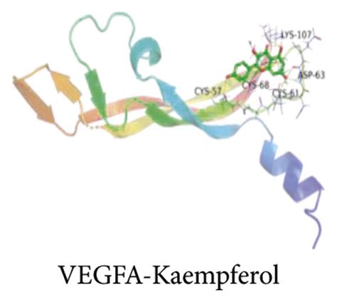 Molecular Docking Structure Diagram A Il 6 Quercetin B Download Scientific Diagram