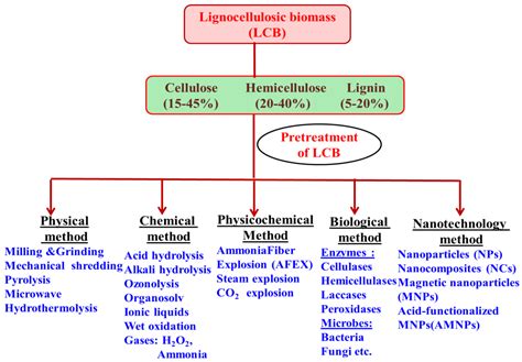 Pretreatment Of Lignocellulosic Biomass Encyclopedia MDPI