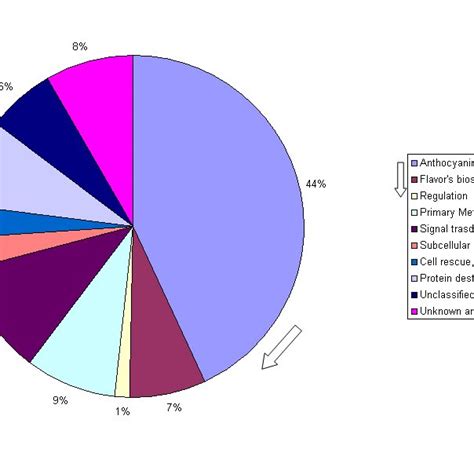 Functional Classification Of Ests Identified By Ssh Download