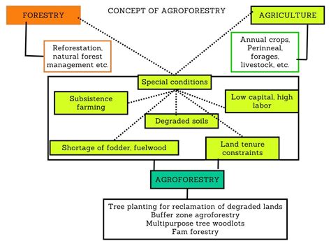 Agroforestry Types Models And Methodology Sigma Earth
